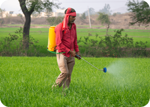 Bayer Insecticides India | Top Insecticide Manufacturer in India