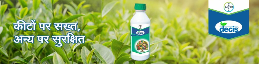 Decis Bayer Insecticide | Deltamethrin 1.25 & Decis Insecticide