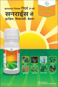 Sunrice Herbicide | Transplanted Rice & Sugarcane Crop Diseases