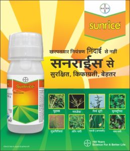 Sunrice Herbicide | Transplanted Rice & Sugarcane Crop Diseases