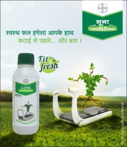 Luna Experience | Broad-Spectrum Fungicide for Crop Diseases