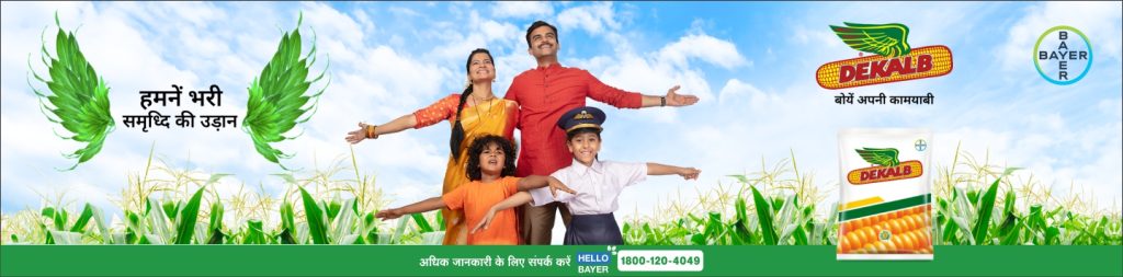 Bayer Dekalb | High-Yield Hybrid Corn Seeds for Indian Farmers